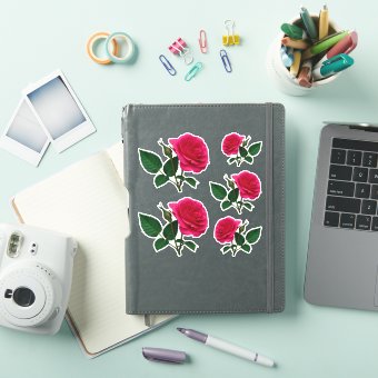 Beautiful red rose photo Transparent CC1145 Sticker | Zazzle