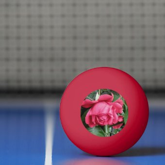 Beautiful Red Rose Ping Pong Ball | Zazzle
