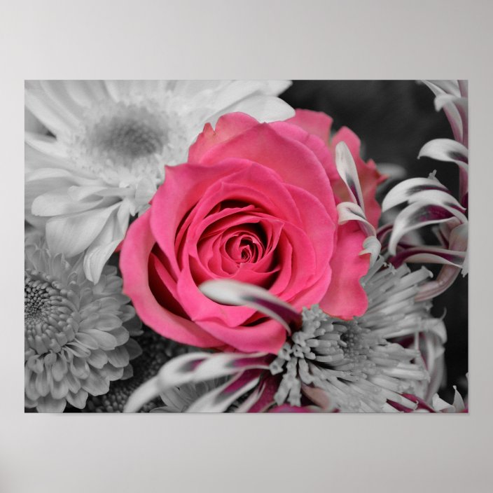 Beautiful red Rose Poster | Zazzle.com
