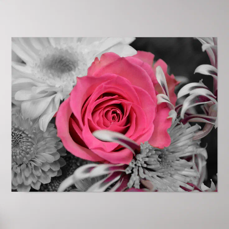 Beautiful red Rose Poster | Zazzle