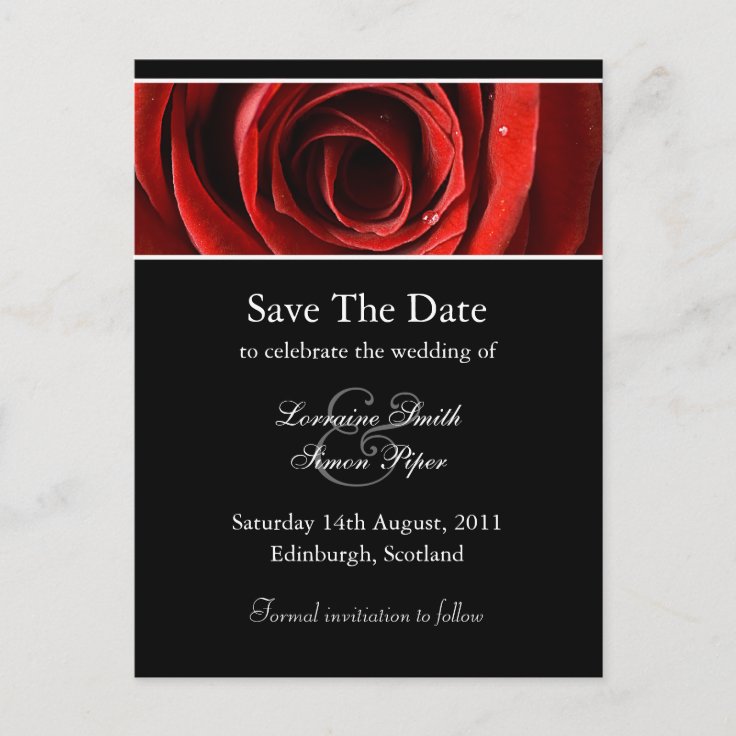 Beautiful Red Rose Save The Date Postcard | Zazzle