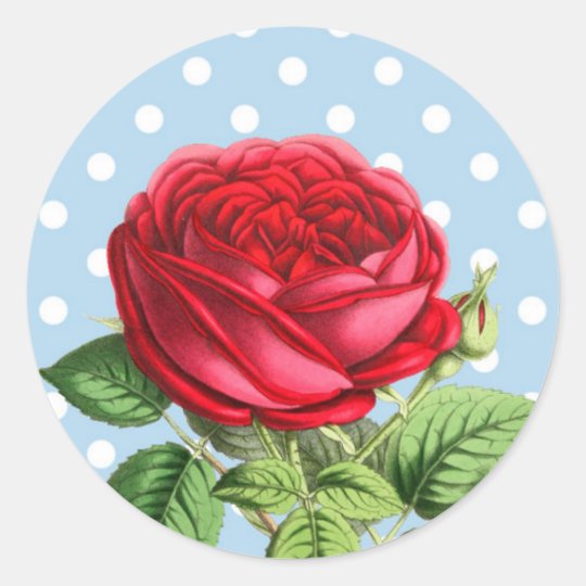 Beautiful red rose stickers | Zazzle.com
