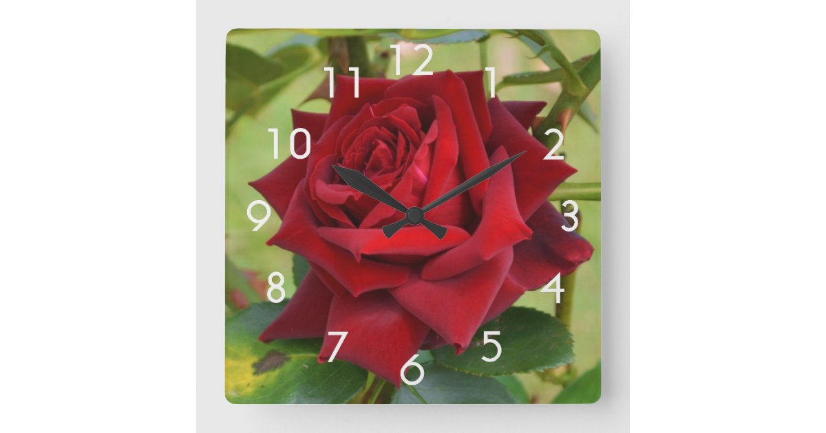 Beautiful Red Rose Wall Clock | Zazzle