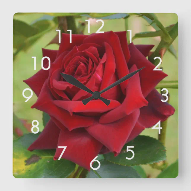 Beautiful Red Rose Wall Clock | Zazzle