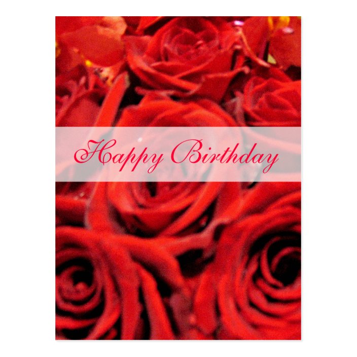 Beautiful Red Roses Happy Birthday Postcard | Zazzle.com