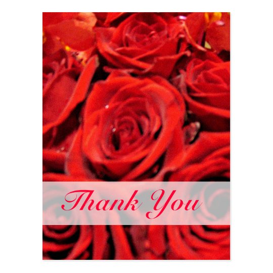 Beautiful Red Roses Thank You Postcard | Zazzle.com