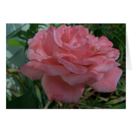 Beautiful Rose/Beautiful Friend Card | Zazzle.com