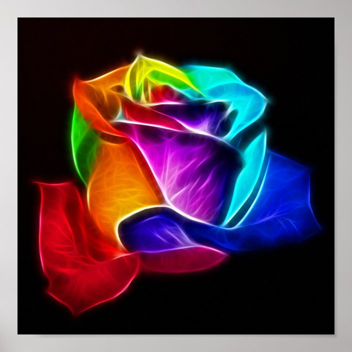 Beautiful Rose of Colors 5 Poster | Zazzle.com