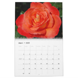 Beautiful roses calendar | Zazzle