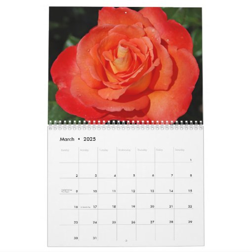 Beautiful roses calendar | Zazzle