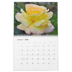 Beautiful roses calendar | Zazzle