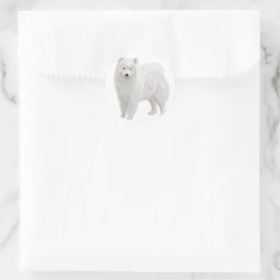 Beautiful Samoyed Classic Round Sticker | Zazzle