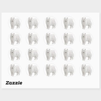 Beautiful Samoyed Classic Round Sticker | Zazzle