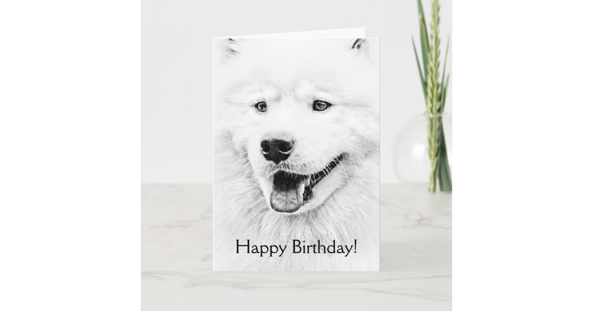 Beautiful Samoyed dog art Card | Zazzle