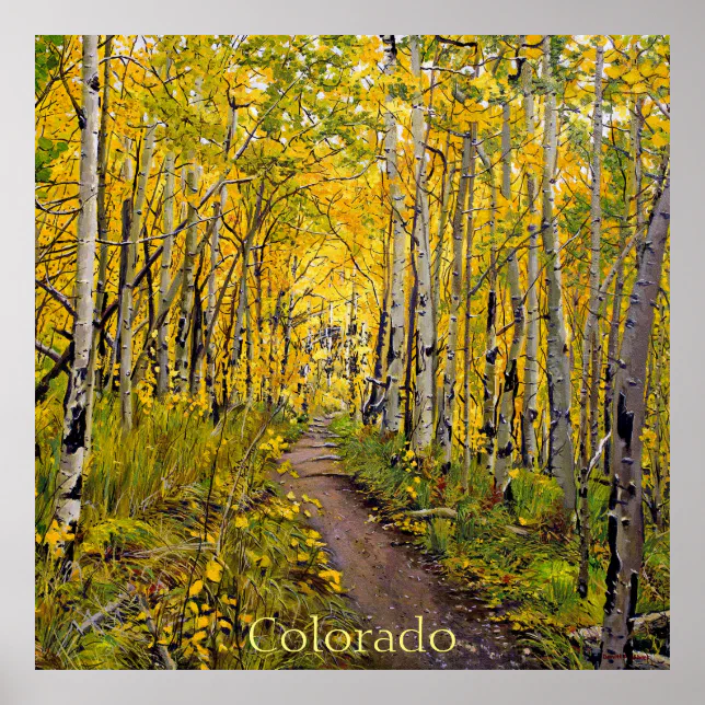 Beautiful Scenic Autumn Trail in Aspen Tree Grove Poster | Zazzle
