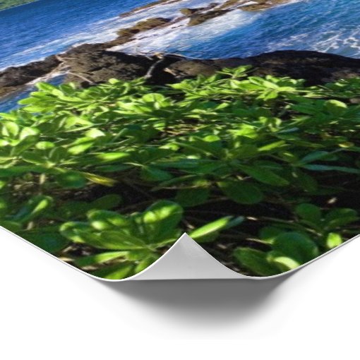 Beautiful Scenic Poster Print | Zazzle