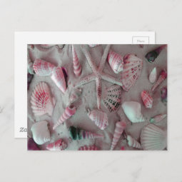 Beautiful Seashells Postcard | Zazzle