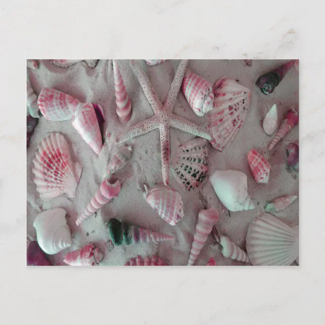 Beautiful Seashells Postcard | Zazzle