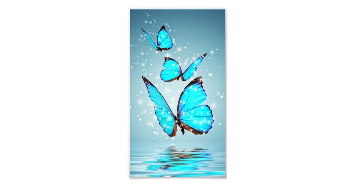 beautiful shiny blue butterfly photo print | Zazzle