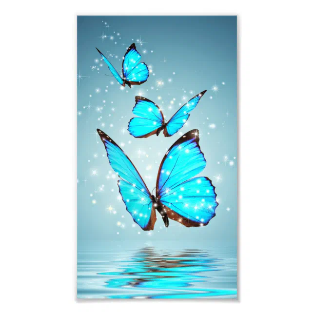 beautiful shiny blue butterfly photo print | Zazzle