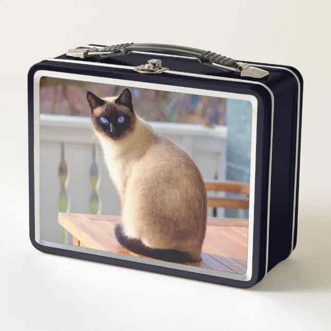 Beautiful Siamese Cat with Blue Eyes Metal Lunch Box | Zazzle
