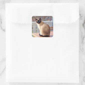 Beautiful Siamese Cat with Blue Eyes Square Sticker | Zazzle