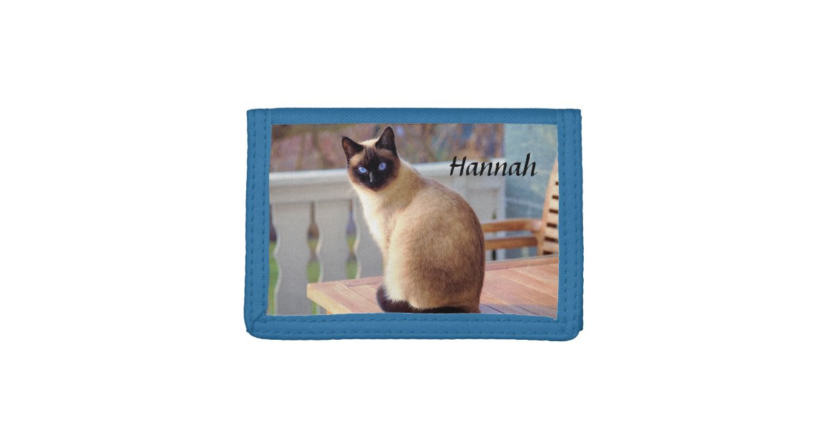 Beautiful Siamese Cat with Blue Eyes Trifold Wallet | Zazzle
