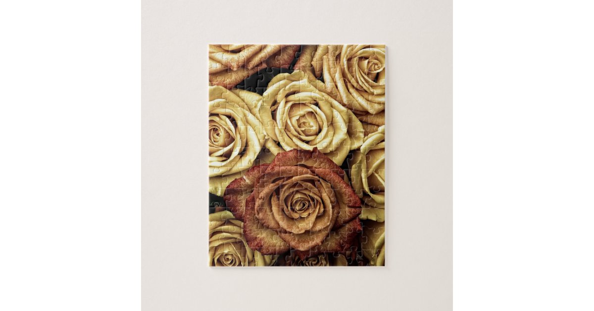 Beautiful Siena Roses Photo Jigsaw Puzzle | Zazzle