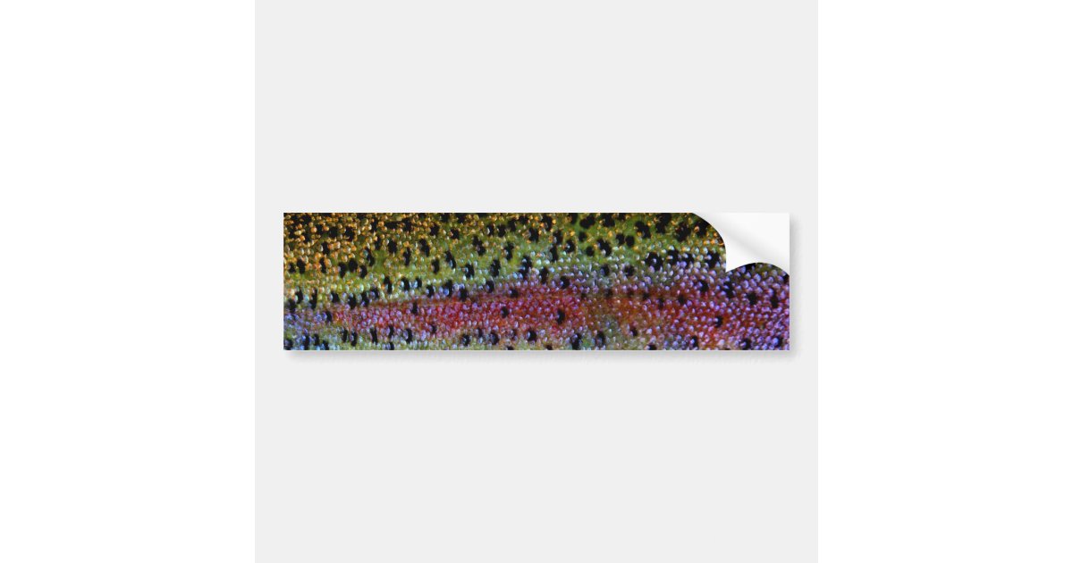 "Beautiful Skin, Rainbow Bronze" Bumper Sticker | Zazzle