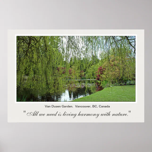 Beautiful soft, green spring willow tree and pond. poster | Zazzle