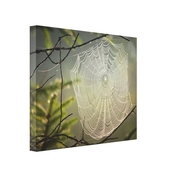 Beautiful Spider Web in the Forest on Canvas Print | Zazzle