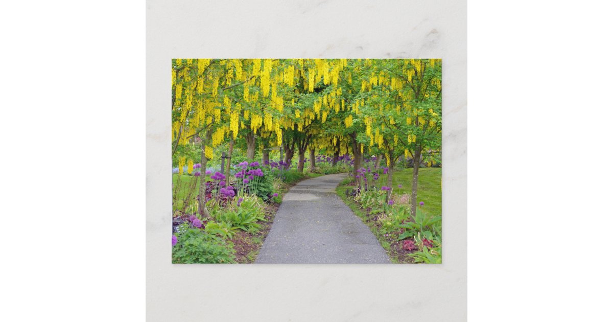 Beautiful spring garden path postcard | Zazzle
