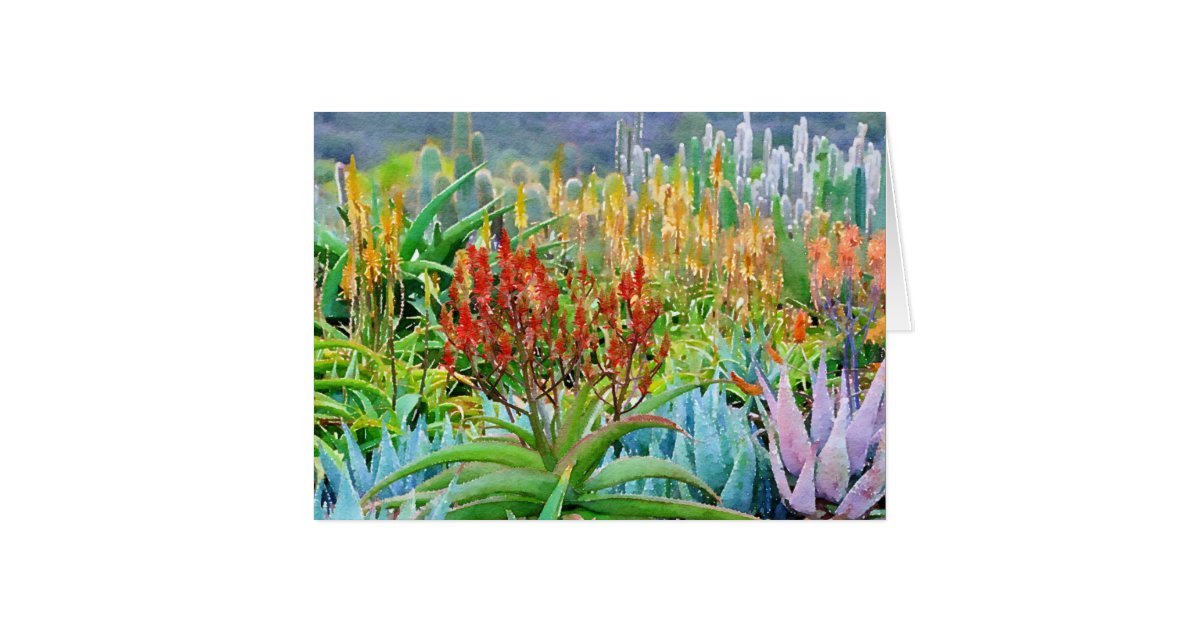 Beautiful succulent garden note card | Zazzle