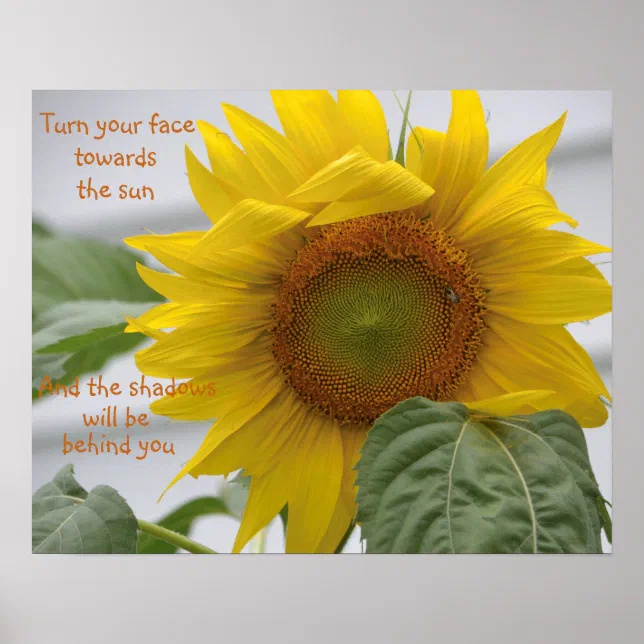 Beautiful Sunflower Motivational Poster | Zazzle
