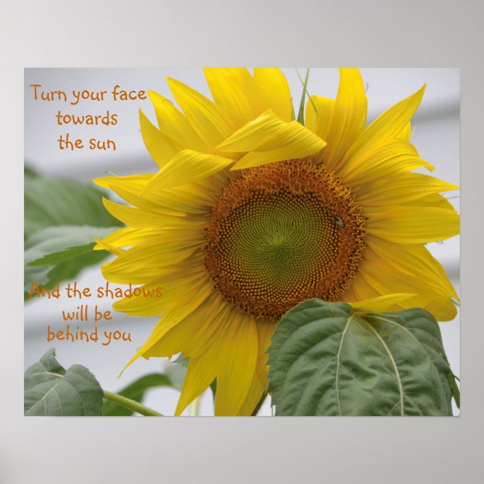 Beautiful Sunflower Motivational Poster | Zazzle.com