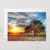 Beautiful sunset postcard | Zazzle