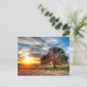 Beautiful sunset postcard | Zazzle