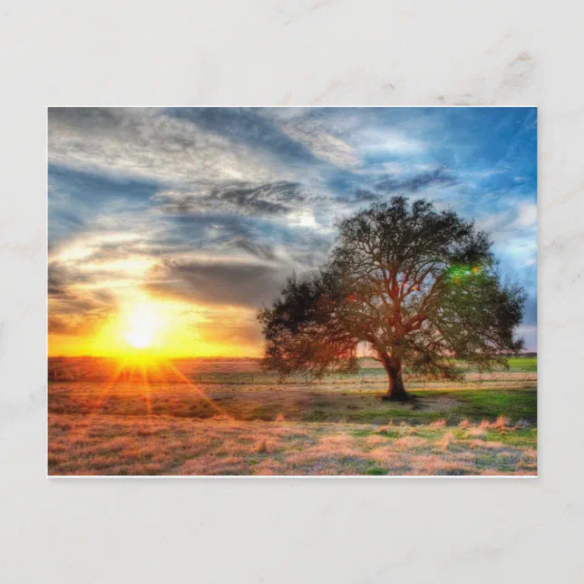 Beautiful sunset postcard | Zazzle