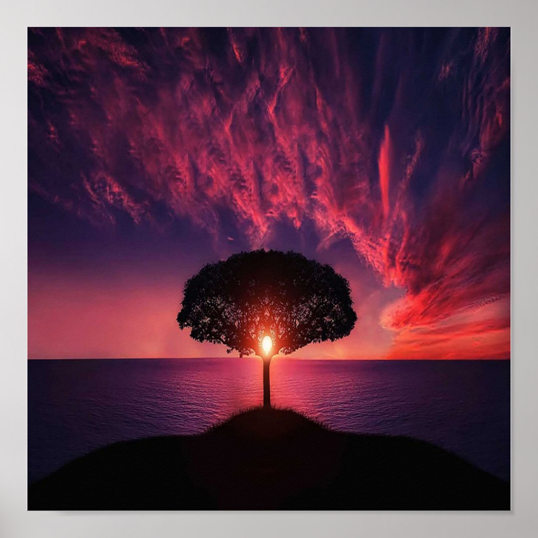 Beautiful sunset poster | Zazzle
