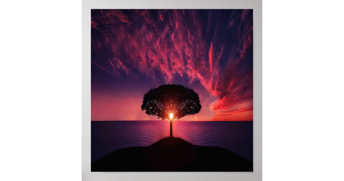 Beautiful sunset poster | Zazzle