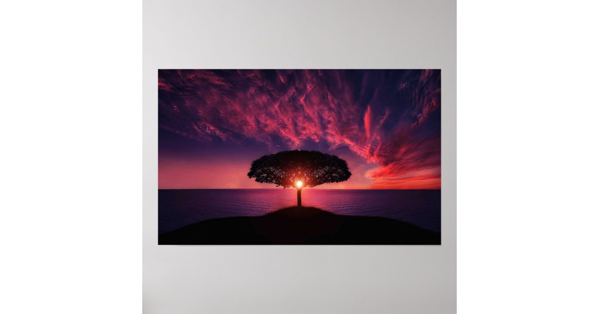 Beautiful sunset tree of life Poster | Zazzle