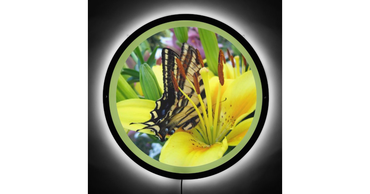 Beautiful Swallowtail Butterfly LED Sign | Zazzle
