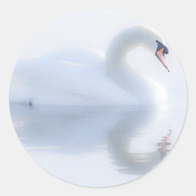 Beautiful Swan Stickers | Zazzle