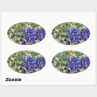 Beautiful Texas Bluebonnet Wildflower Sticker | Zazzle