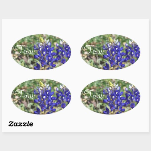 Beautiful Texas Bluebonnet Wildflower Sticker | Zazzle