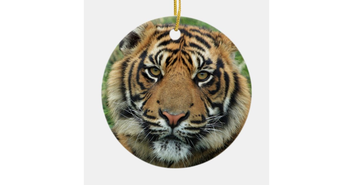 Beautiful Tiger Ceramic Ornament | Zazzle