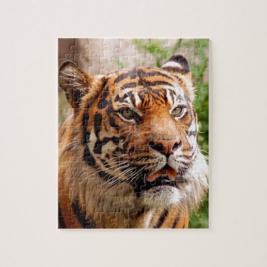 Beautiful tiger face jigsaw puzzle | Zazzle.com