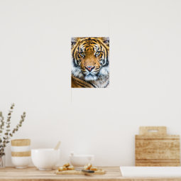 Beautiful Tiger Face Poster | Zazzle