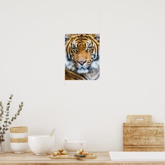 Beautiful Tiger Face Poster | Zazzle