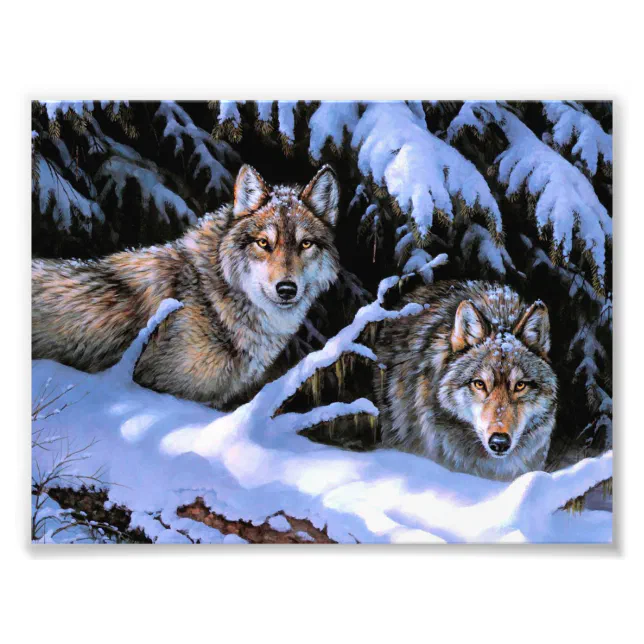 Beautiful Two Wolves Paintings Photo Print | Zazzle